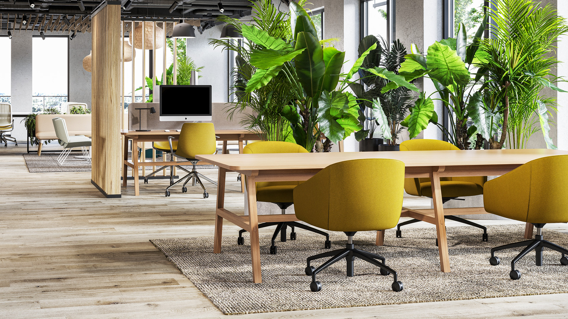 The Distracted Workplace - Jack Cartwright